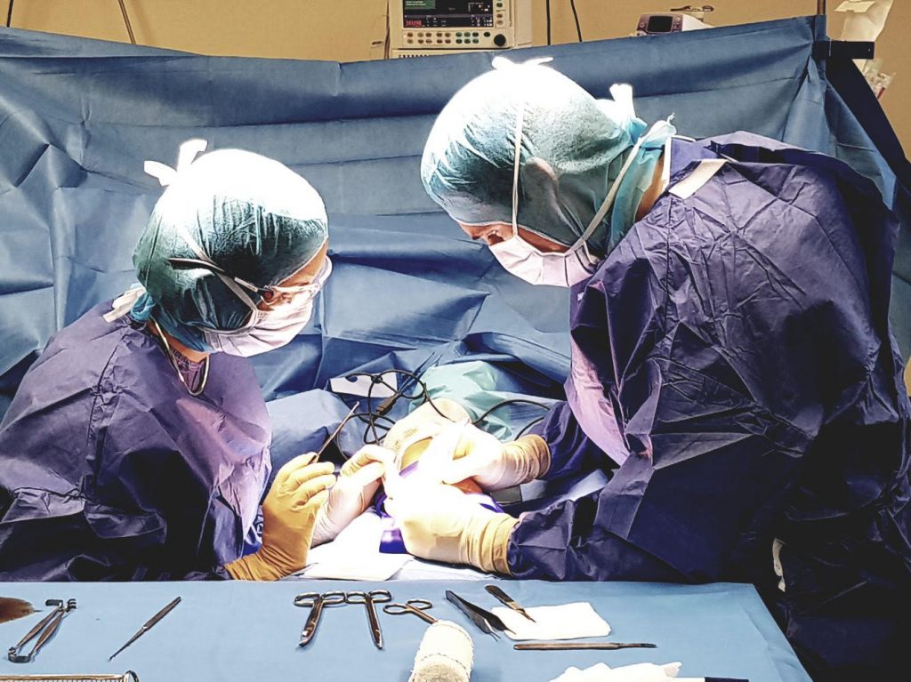 Fiches opératoires Épaule - epaulegenoumediterranee